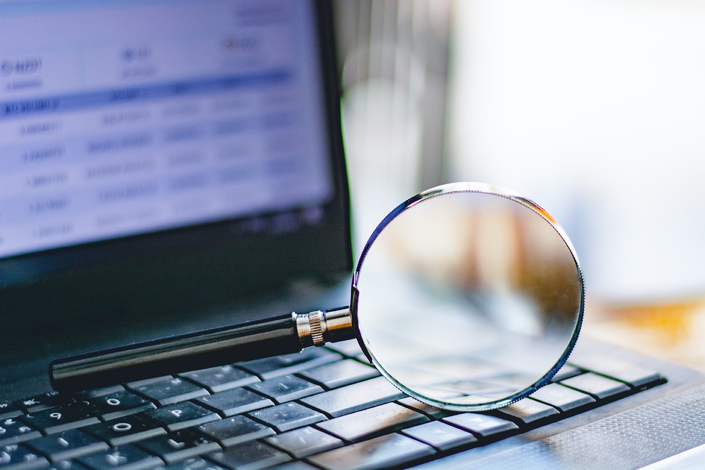 Background Investigations Information Discovery Services background-investigations-information-discovery-services